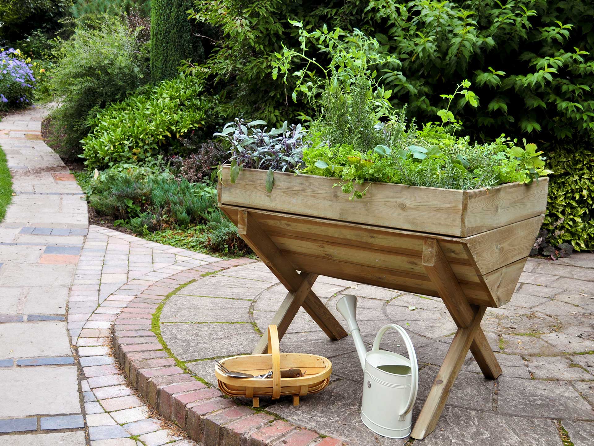 Start a kitchen garden - with inspiration from Chelsea Flower Show ...