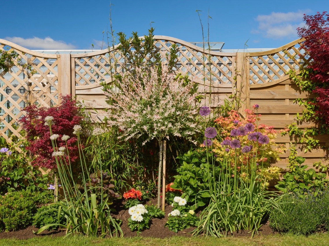 8 fence covering ideas to disguise ugly wooden or metal panels ...