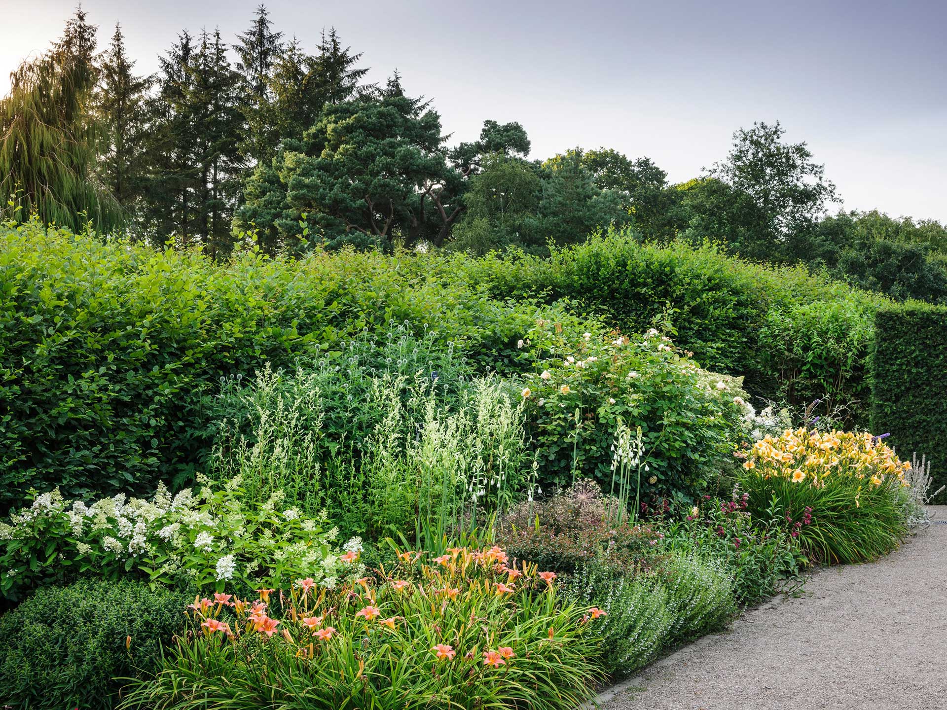 How to plant the perfect border - Goodhomes Magazine : Goodhomes Magazine